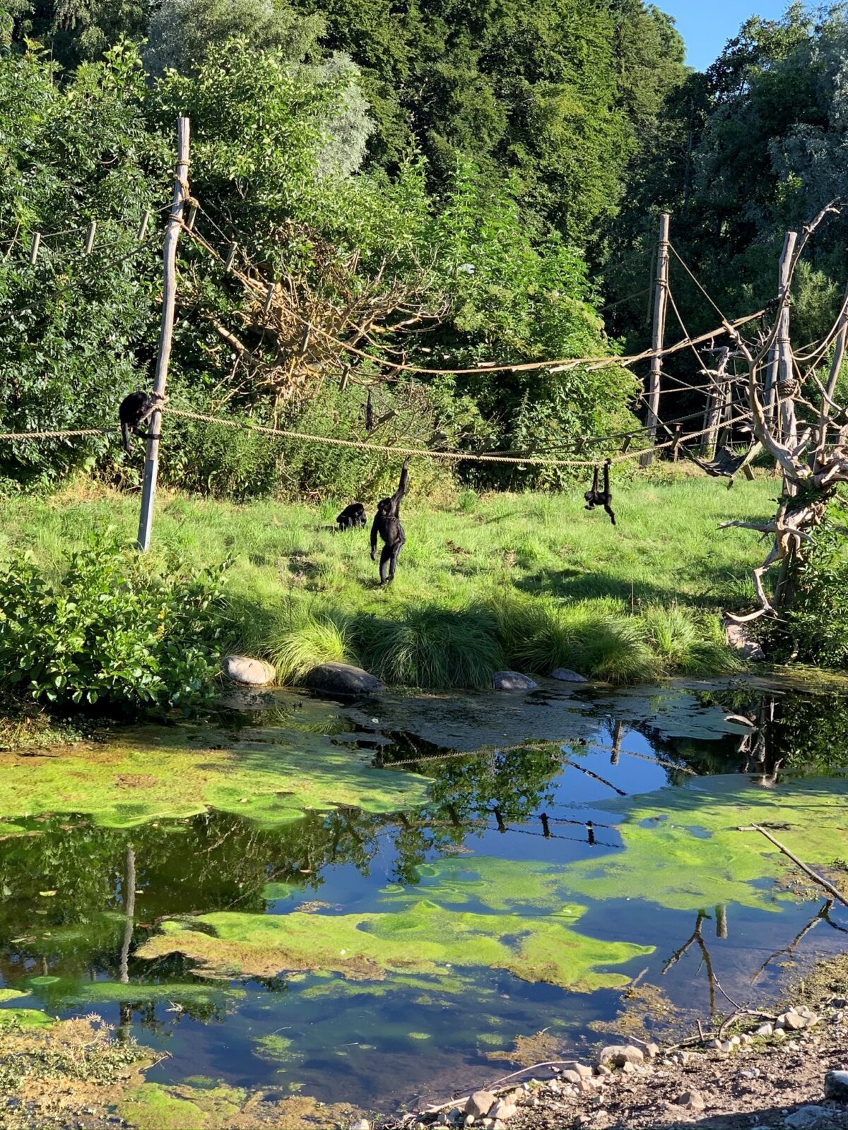Ree dyrepark - Familiebehandling Munkesøgaard